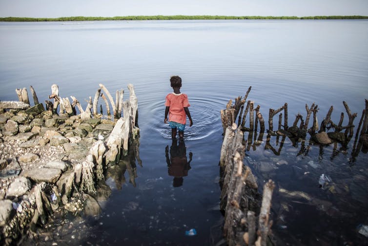 Why all human rights depend on a healthy environment – SUSTAIN Magazine