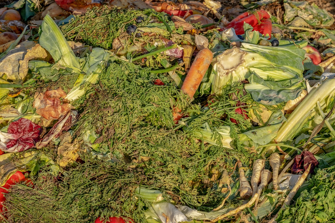 Government of Canada launches Food Waste Reduction Challenge – SUSTAIN ...