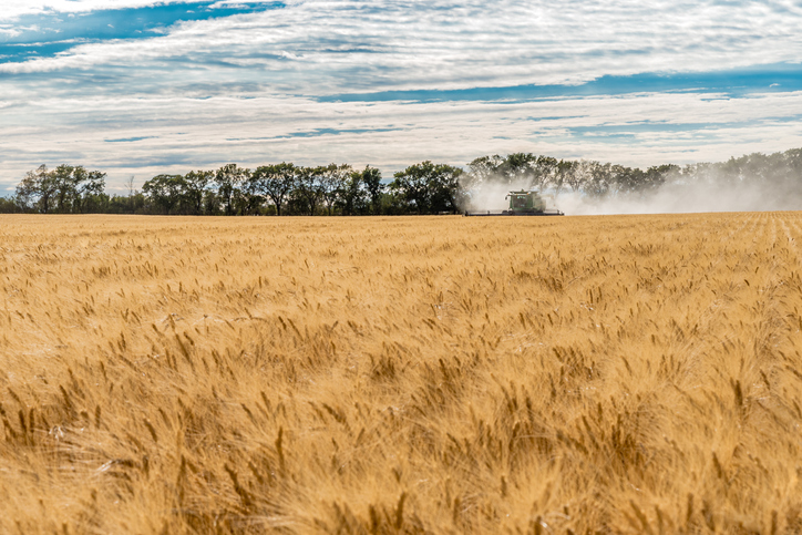 Life Cycle Assessment of New Wheat Straw Based Pulp – SUSTAIN Magazine